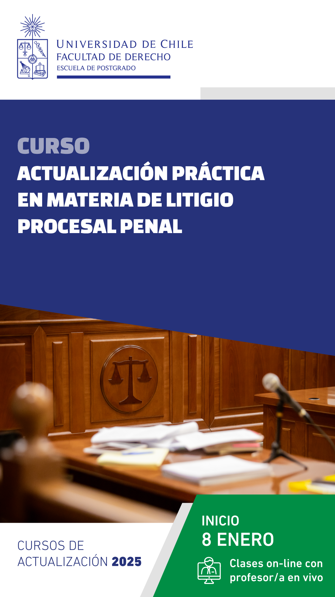 Actualización práctica en materia de litigio procesal penal - Facultad de Derecho - Universidad ...